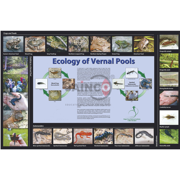 Ecology of Vernal Pools Poster Manufacturers, Supplier & Exporters in ...