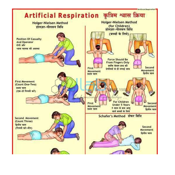 Artificial Respiration Chart Manufacturers, Supplier & Exporters in ...